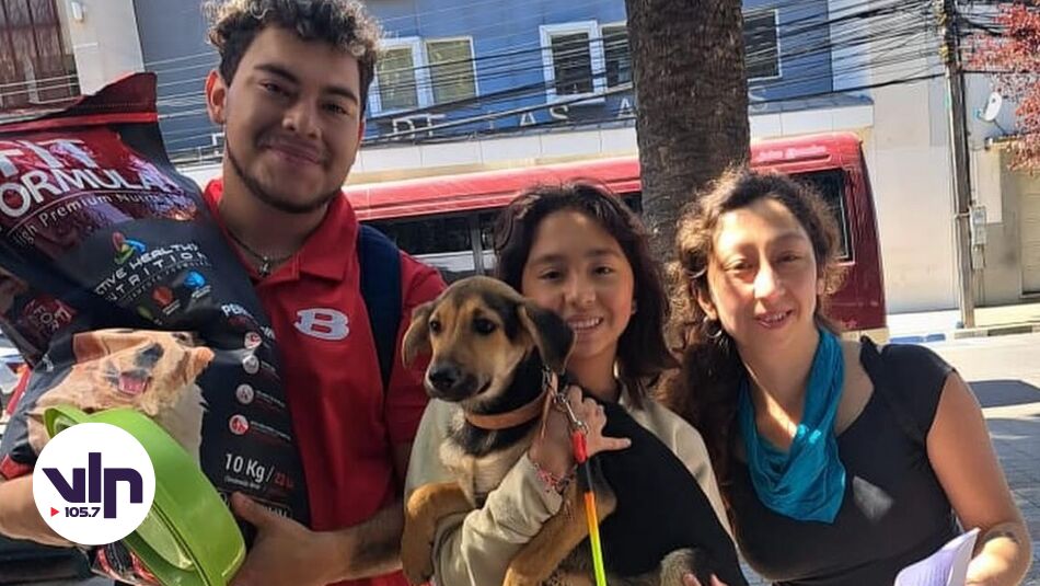 Centro Veterinario Municipal de Curicó y Fundación Paticorta realizaron ...