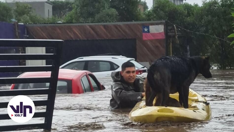 Informe confirma que Senapred no activó la Alerta SAE en inundación de ...