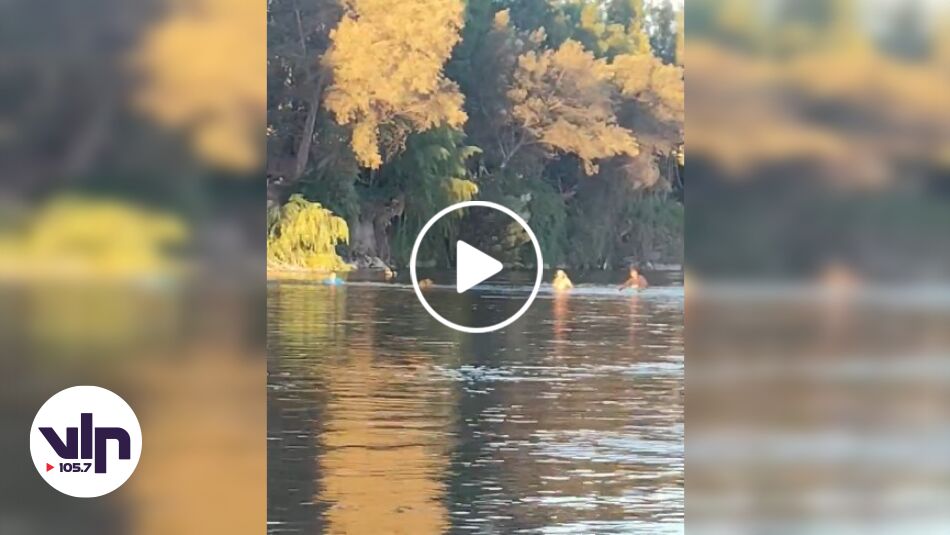 Hualañé denunciará ante la justicia uso de redes y pesca ilegal en el ...