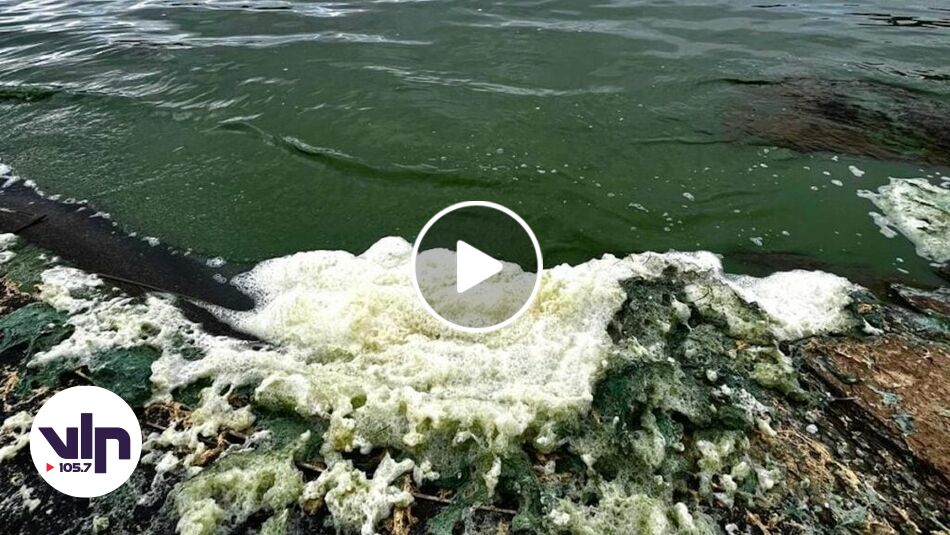 Muestras de agua del Lago Vichuquén son enviadas a Puerto Montt para ...